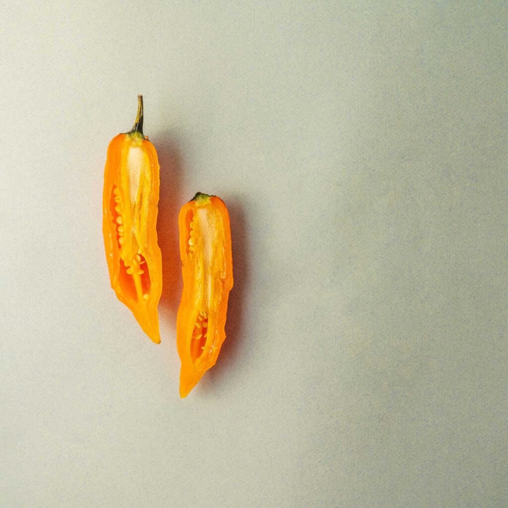 Best of Latin Food Stuff – Latin American Food