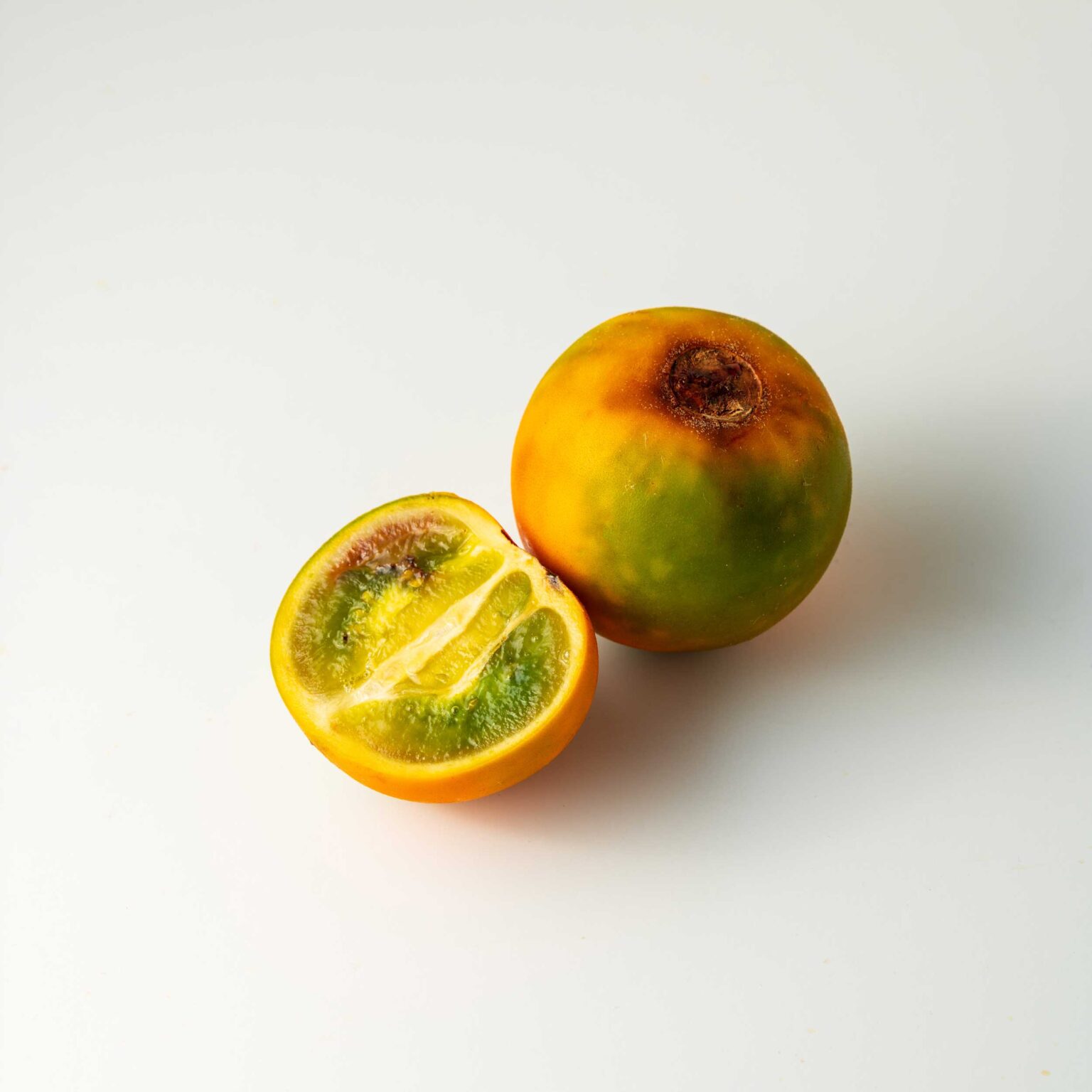 Best of Latin Food Stuff – Latin American Food