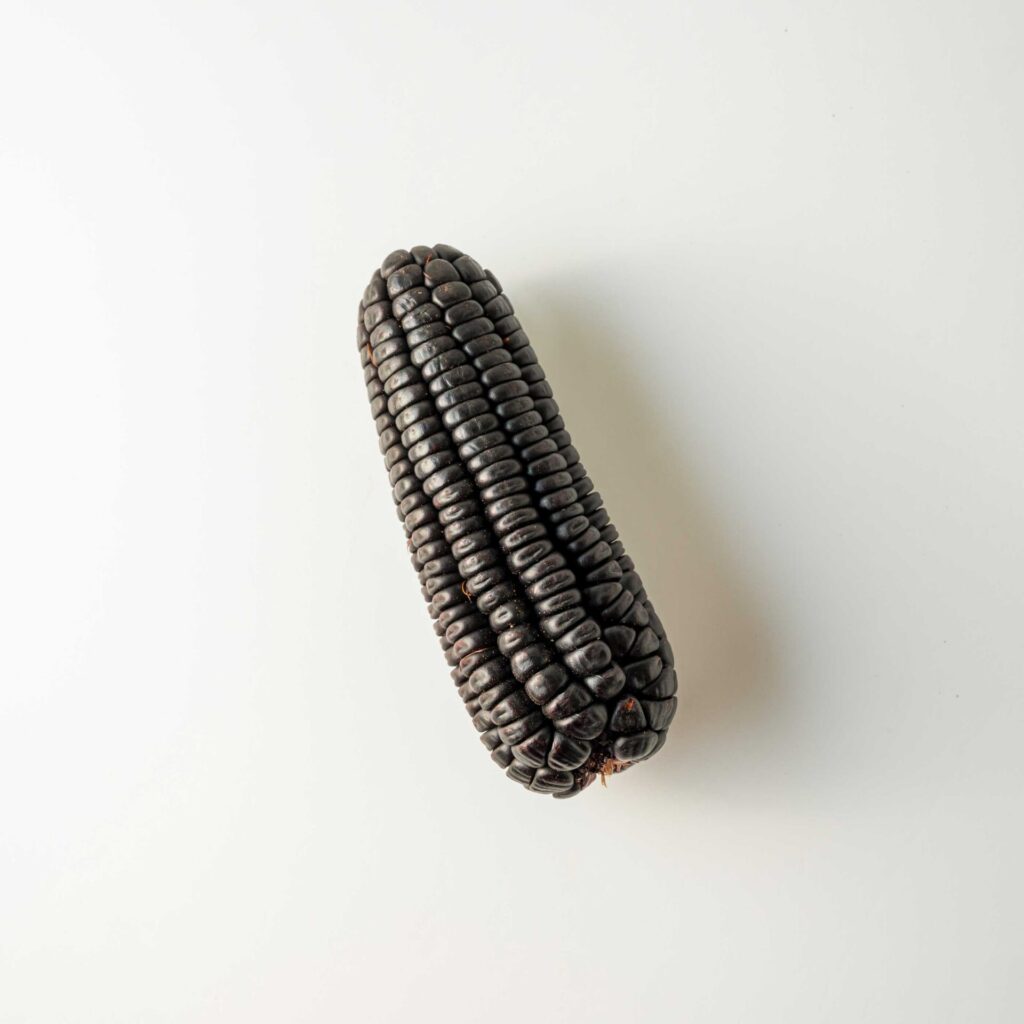 Products – Best of Latin Food Stuff