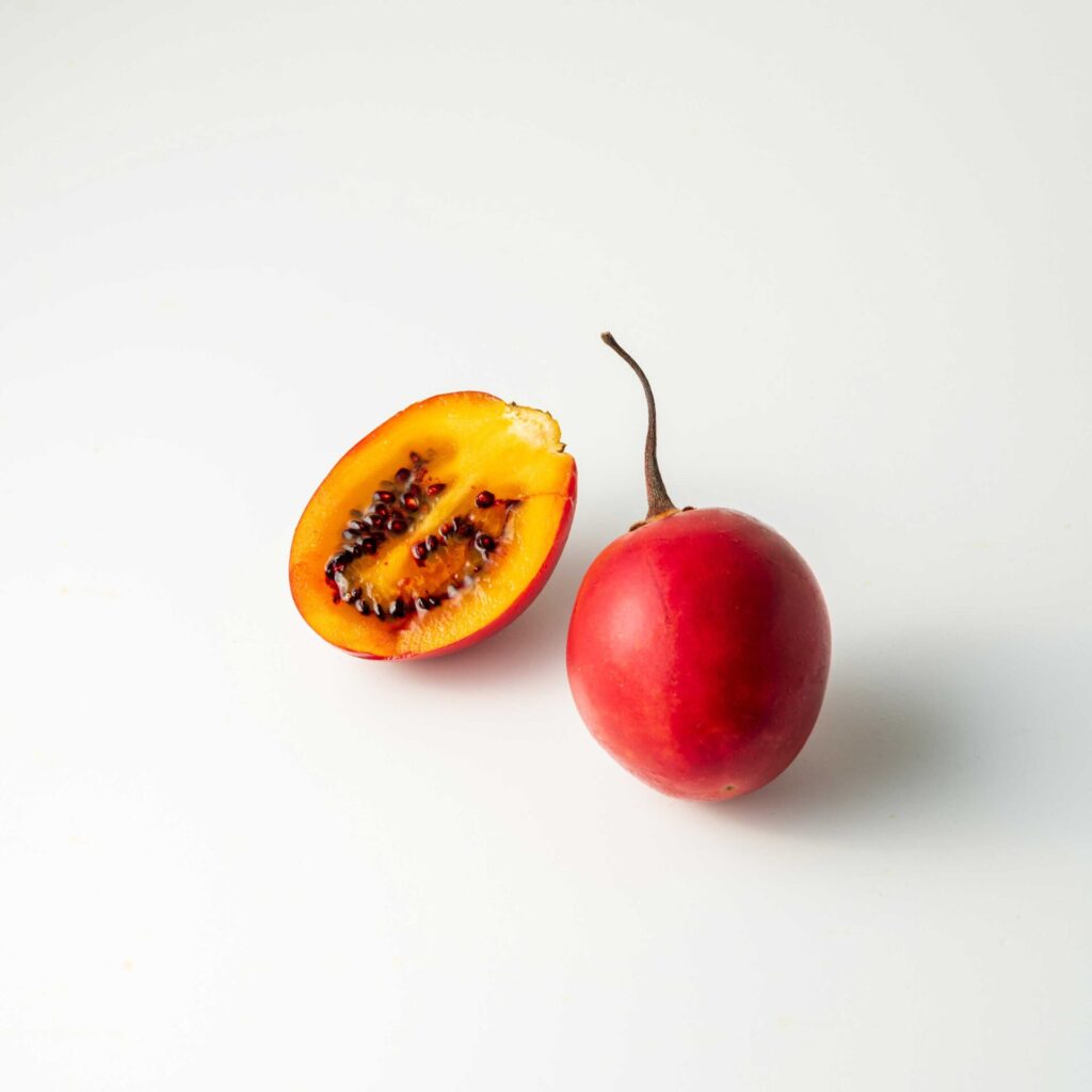 Best of Latin Food Stuff – Latin American Food