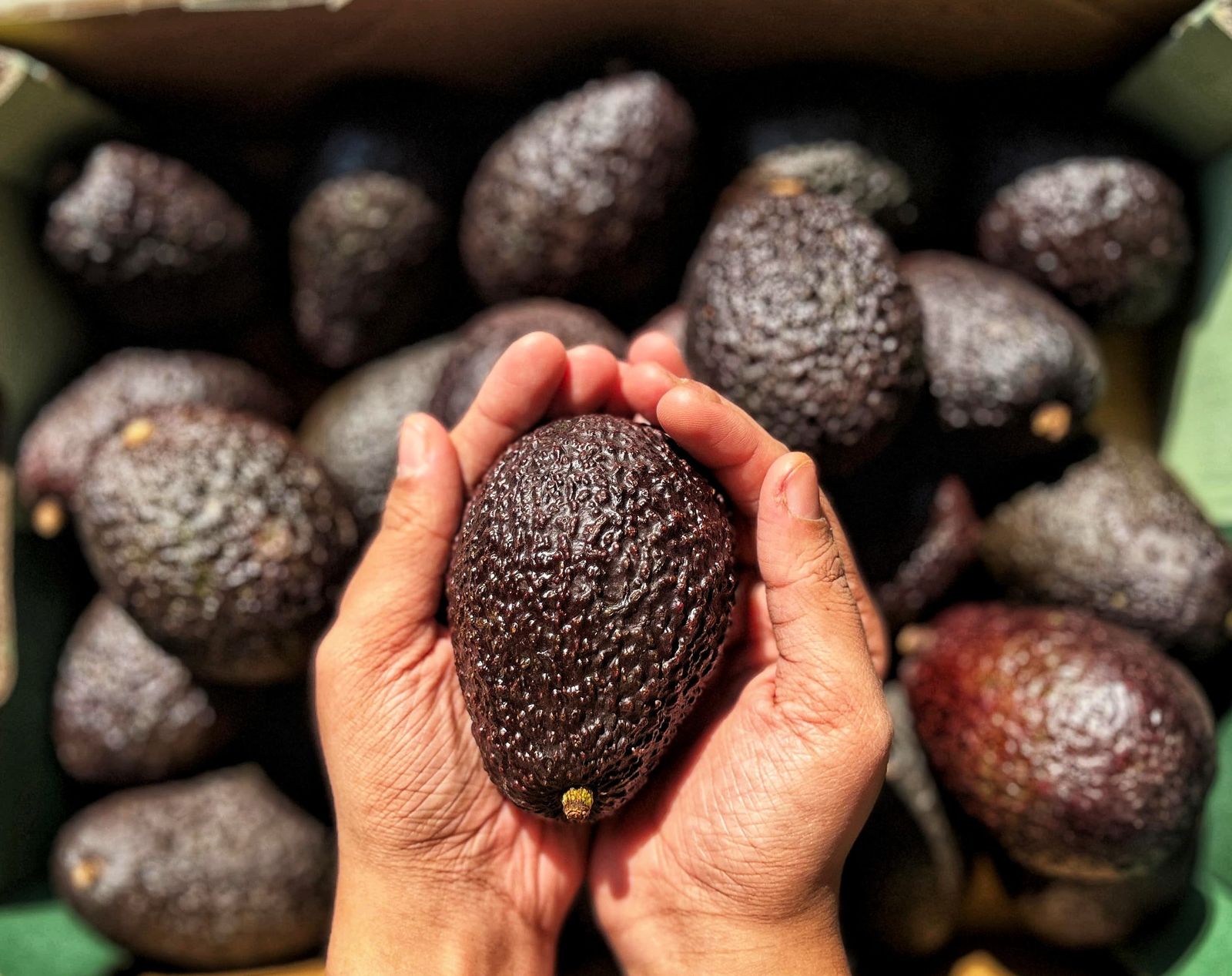 Best of Latin Food Stuff – Latin American Food